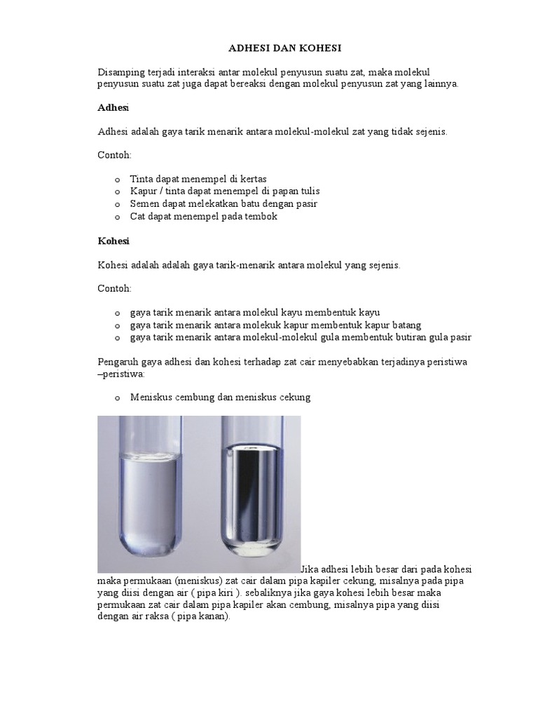 Adhesi Dan Kohesi | PDF