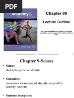 Grade 12 Life Science The Ear PDF | PDF | Ear | Hearing