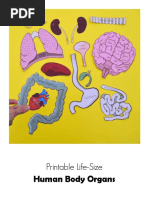 Human Anatomy Busy Book | PDF | Gastrointestinal Tract | Human Body