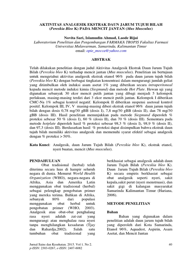 Analgesik Daun Jarum Tujuh Bilah | PDF