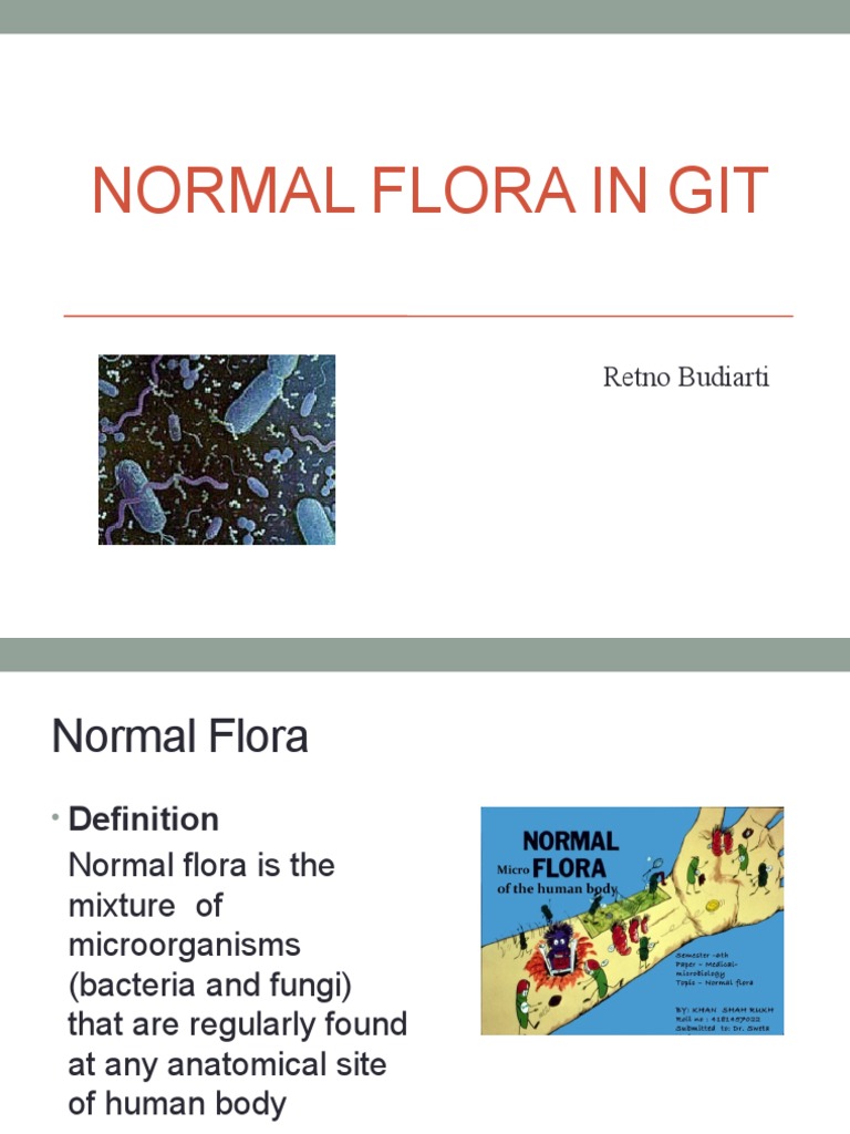 Normal Flora in Git: Retno Budiarti | PDF | Gut Flora ...
