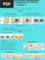 Prospecto-INMUFLU TBS - JAB | PDF | Sistema inmune | Linfocitos