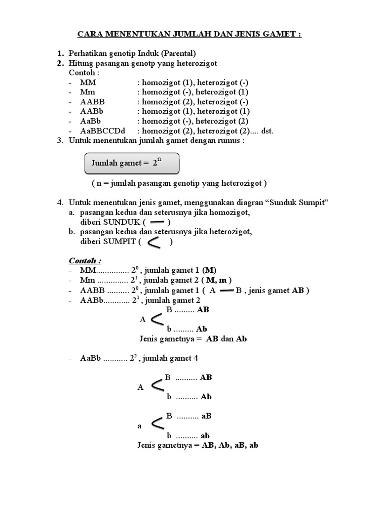 Cara Menentukan Jumlah Dan Jenis Gamet | PDF