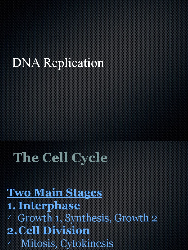 DNA Replication: A Comprehensive Review of the Key Players, Processes ...