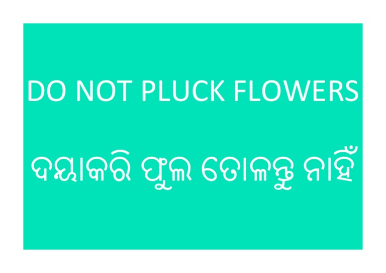 Do Not Pluck Flowers | PDF