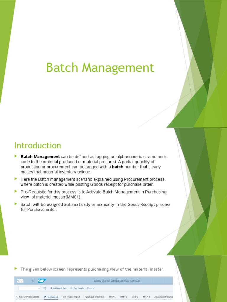 Batch Management | PDF | Finance & Money Management | Computers