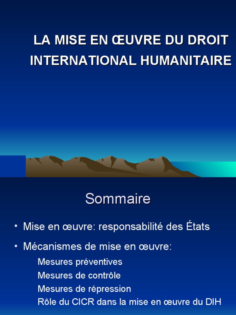 Mise en œuvre du Droit Humanitaire | PDF | Droit international ...