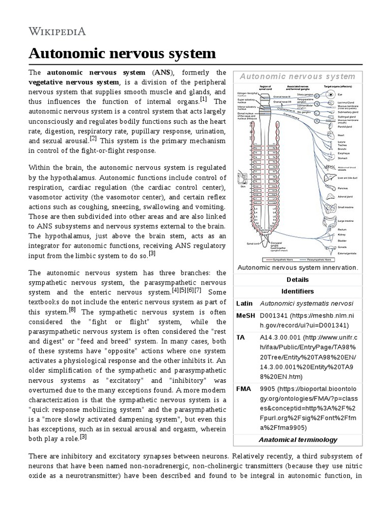 Autonomic Nervous System | PDF | Autonomic Nervous System | Physiology