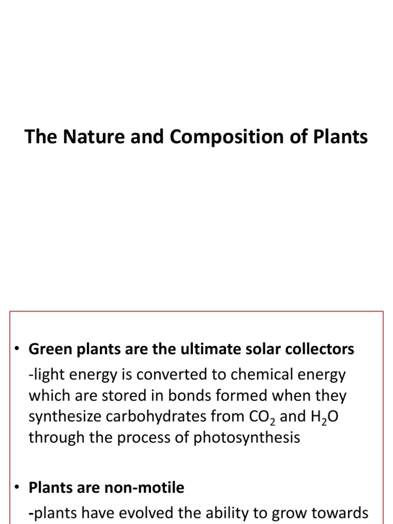 Chapter III. The Nature and Composition of Plants | PDF | Fruit ...