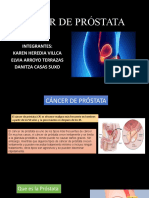 Triptico Cancer de Prostata | PDF | Cancer de prostata | Cáncer