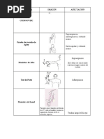 Dermatomas y Miotomas | PDF | Médula espinal | Nervio