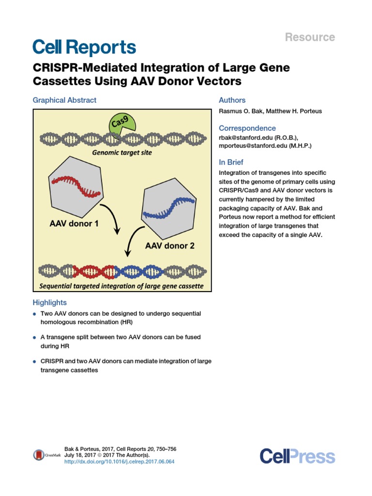 CRISPR-Mediated Integration of Large Gene Cassettes Using AAV Donor ...