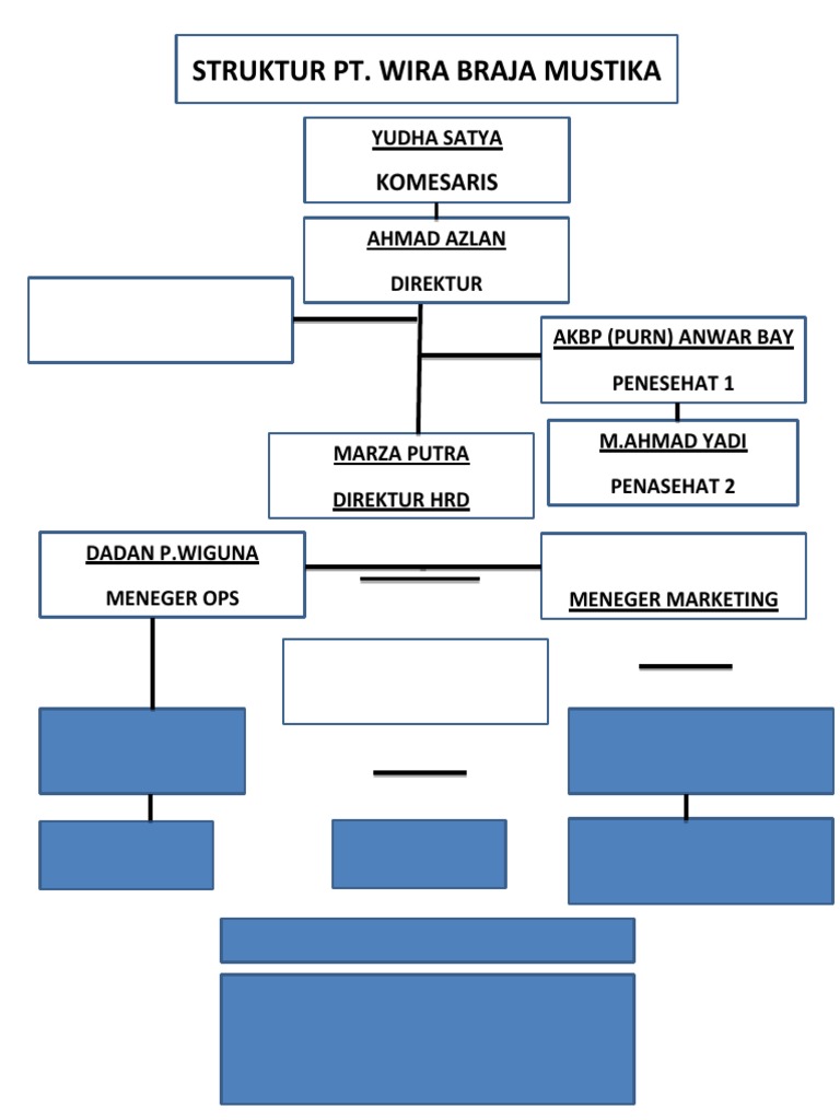 Struktur Organisasi PT. Wira Braja Mustika | PDF