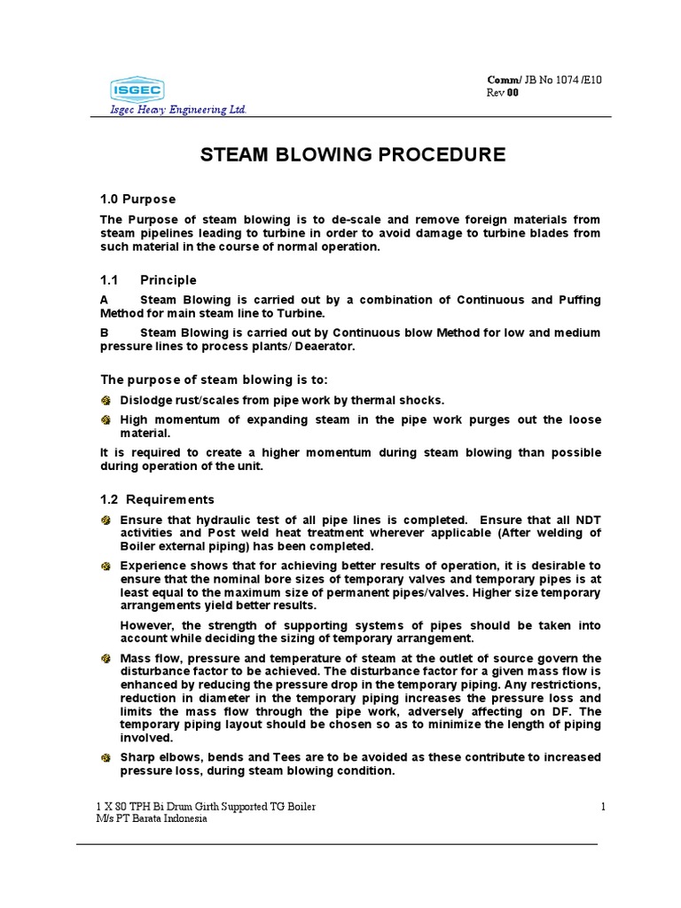 Steam Blowing Procedure | PDF | Steam | Pipe (Fluid Conveyance)