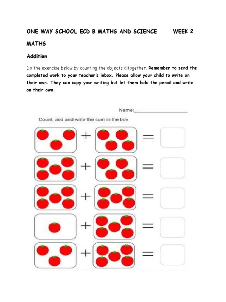 Ecd B Maths and Science Week 2 | PDF