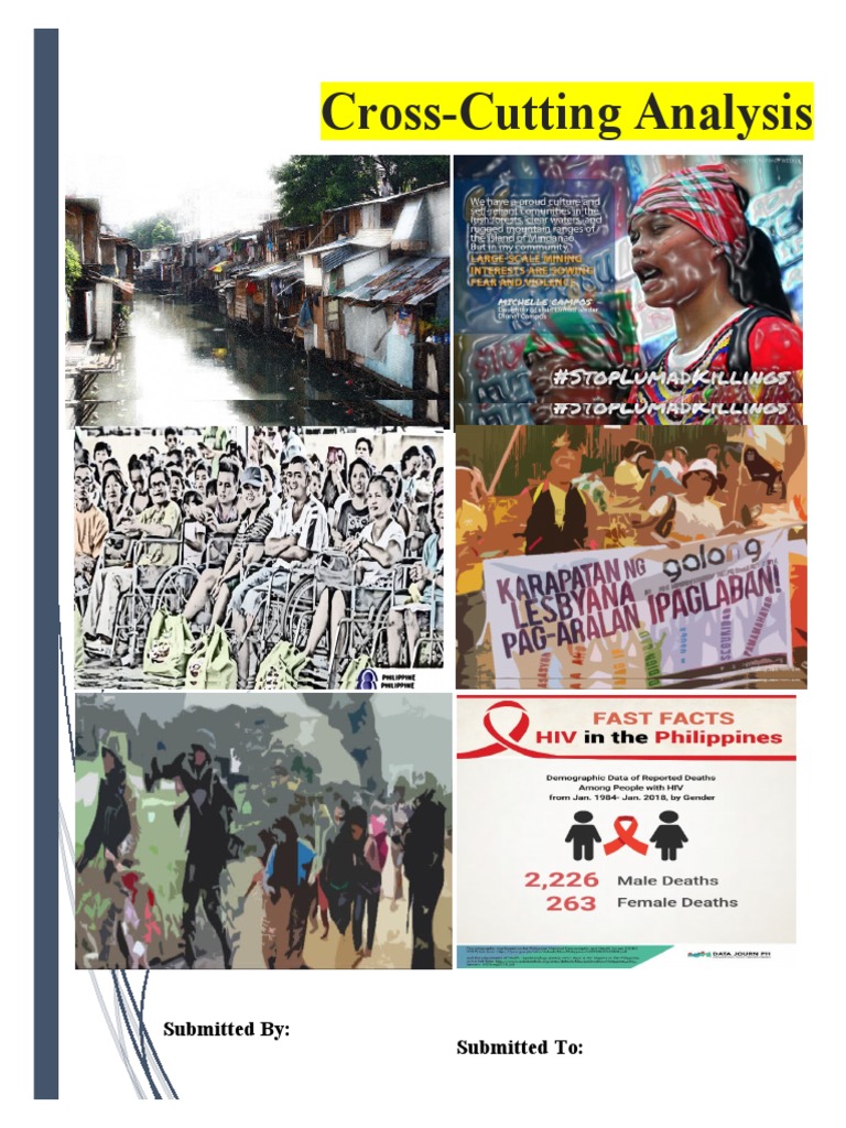 Cross Cutting Analysis Sample | PDF | Disability | Intellectual Disability