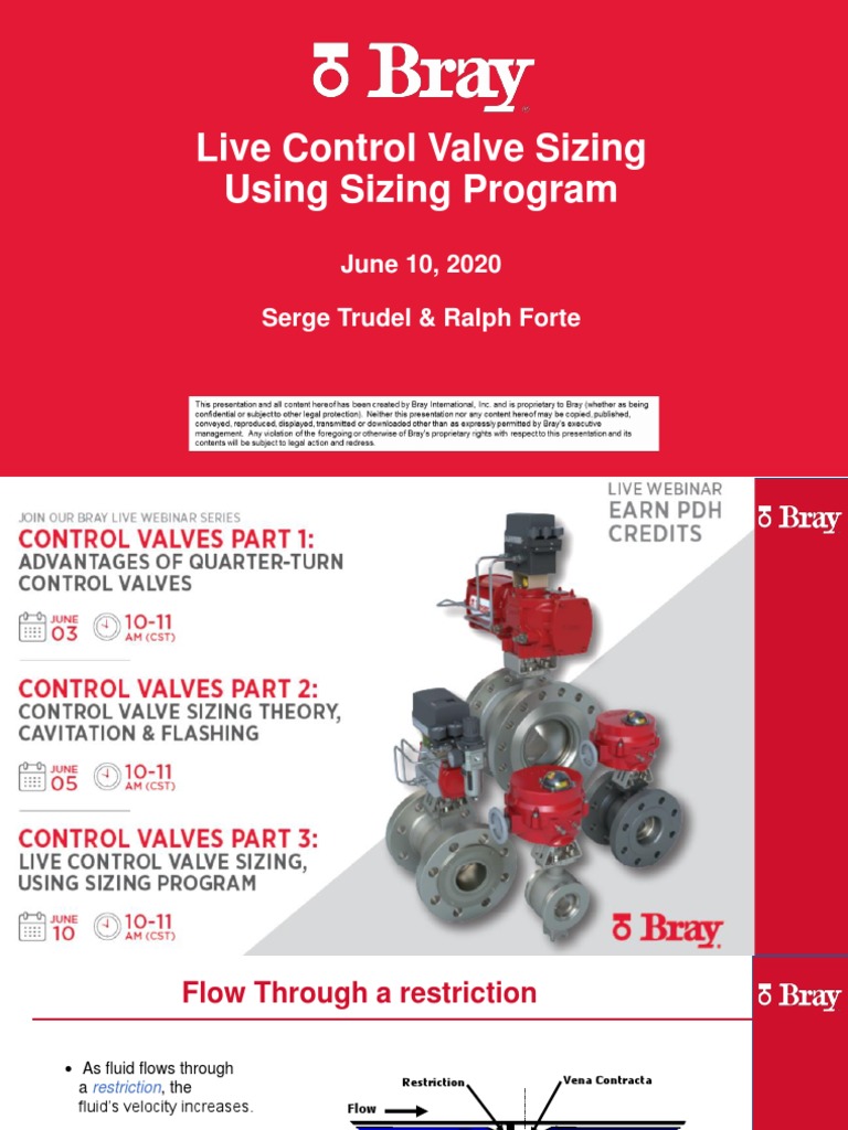 Live Control Valve Sizing Using Sizing Program | PDF | Pressure | Fluid ...