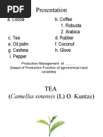 Black Tea Manufacturing Process Flowchart | PDF | Tea | Atmosphere Of Earth
