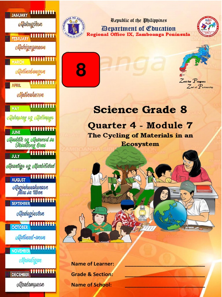 Science 8 Q4 M7 | PDF | Photosynthesis | Water