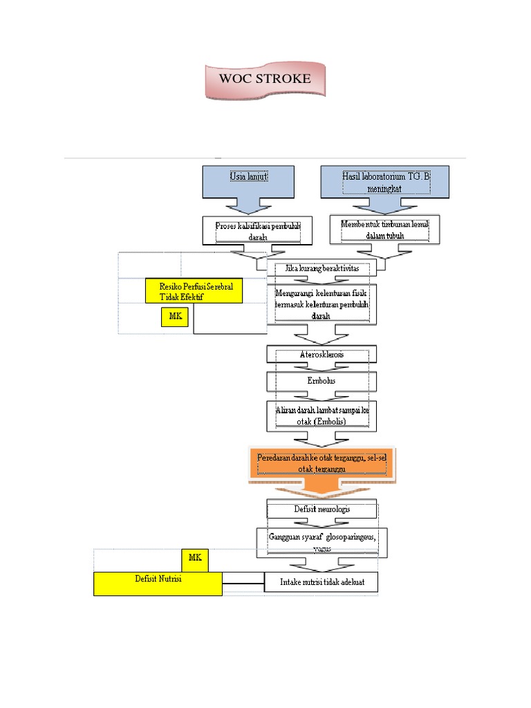 Understanding WOC Stroke Risks | PDF