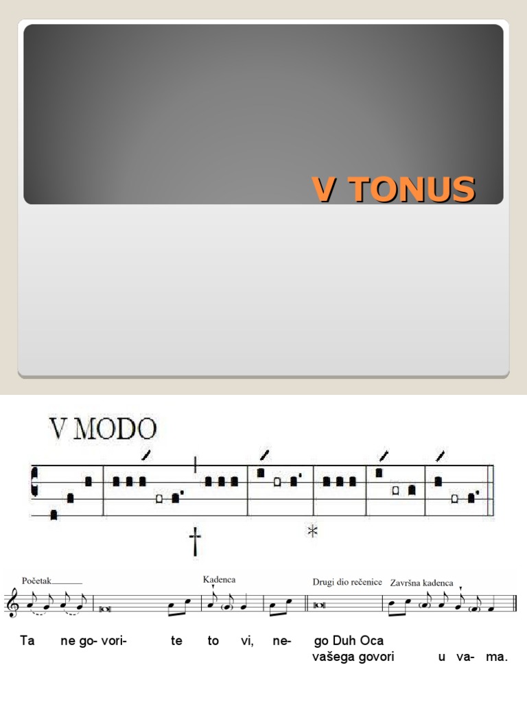 Tonus | PDF