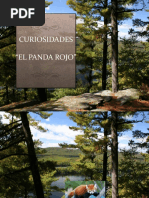 Infografia Del Panda | PDF | Panda gigante | Osos