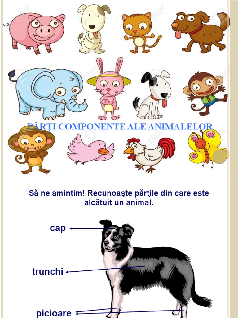 Partile Componente Ale Unui Animal Prezentare | PDF