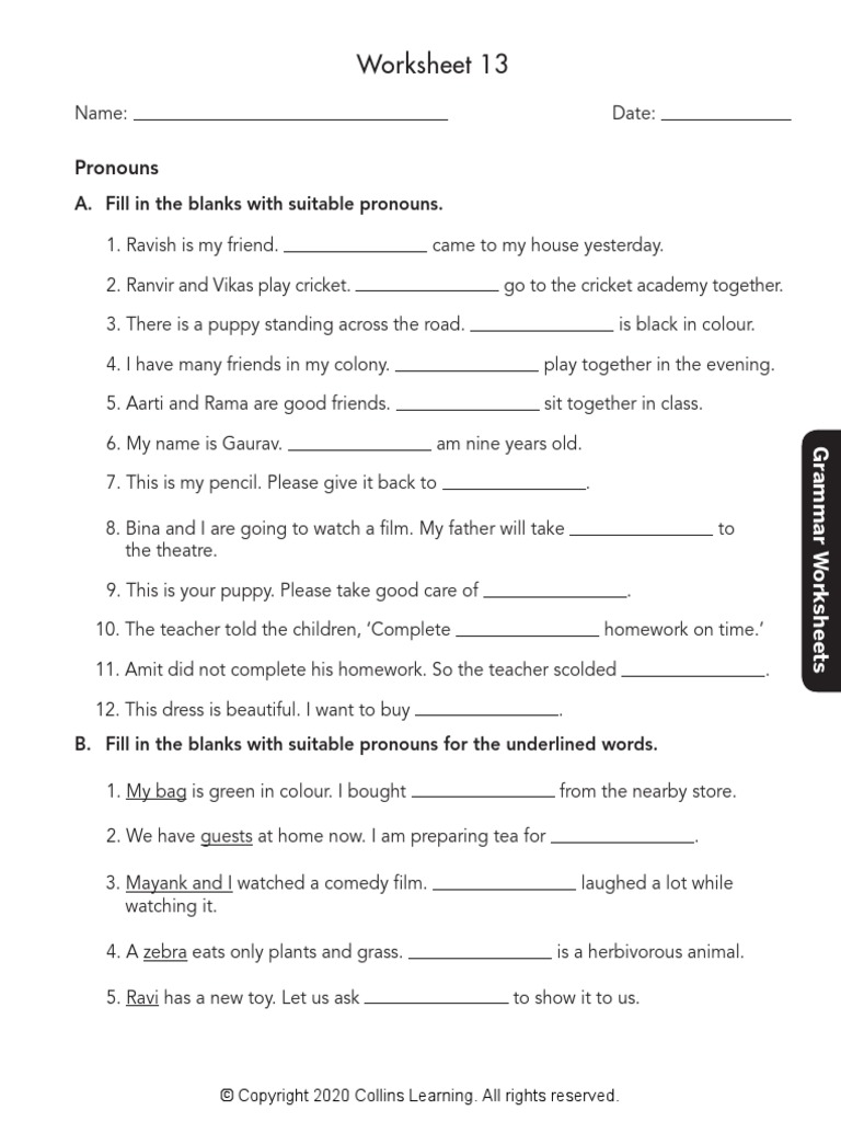 Pronouns Practise Worksheet | PDF