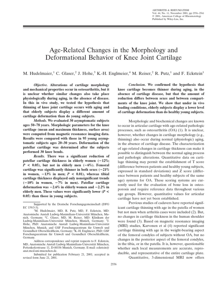 Hudelmaier 2001 - Age-Related Changes in The Morphology and ...