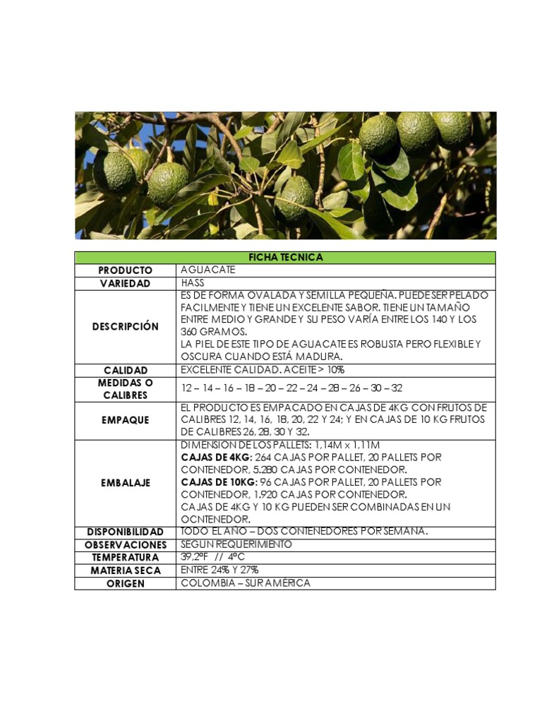 Ficha Tecnica Aguacate Hass | PDF
