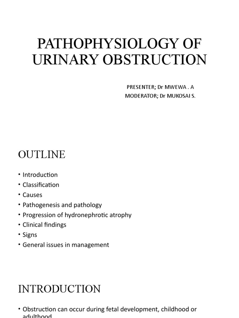 Pathophysiology of Urinary Obstruction | PDF | Diseases And Disorders | Clinical Medicine
