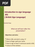 Basic British Sign Language Phrases | PDF