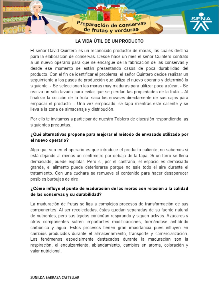 La Vida Útil de Un Producto | PDF