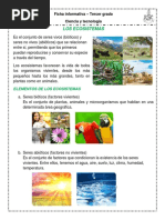 Ficha Informativa de Ecosistemas | PDF | Ecosistema | Conservación del ...