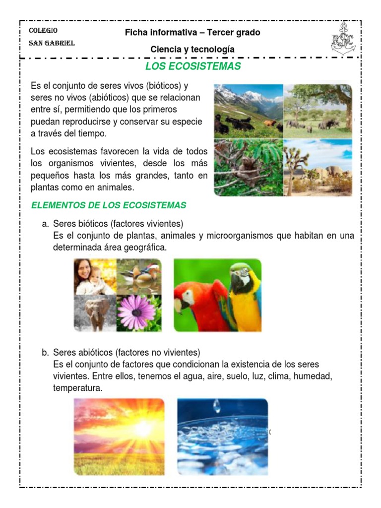 Fichas De Trabajo Sobre Ecosistemas Y Biomas Los Ecosistemas