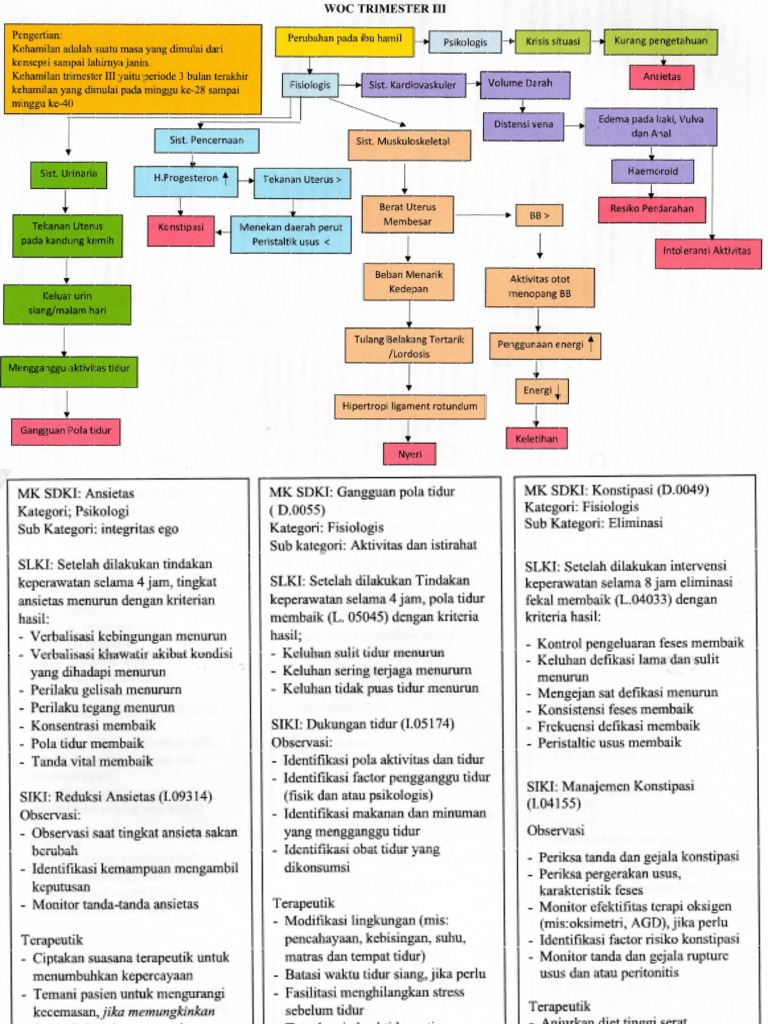 Woc Trimester 3 Fix | PDF