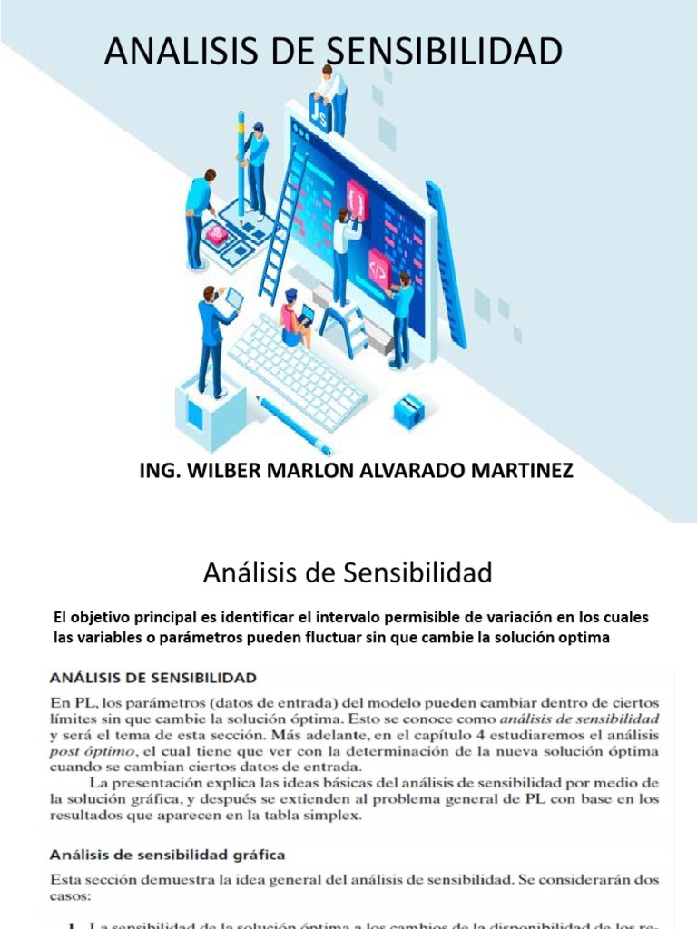 Analisis de Sensibilidad | PDF
