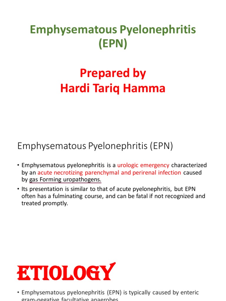 Emphysematous Pyelonephritis (EPN) | PDF | Kidney | Medicine
