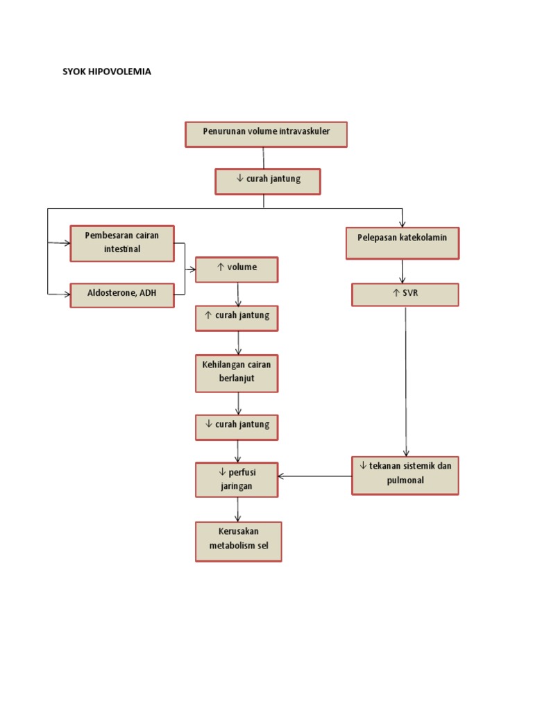 Pathway SYOK HIPOVOLEMIK | PDF | Pengembangan Diri | Kesehatan Holistik
