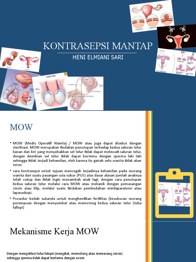 Mow Dan Mop | PDF