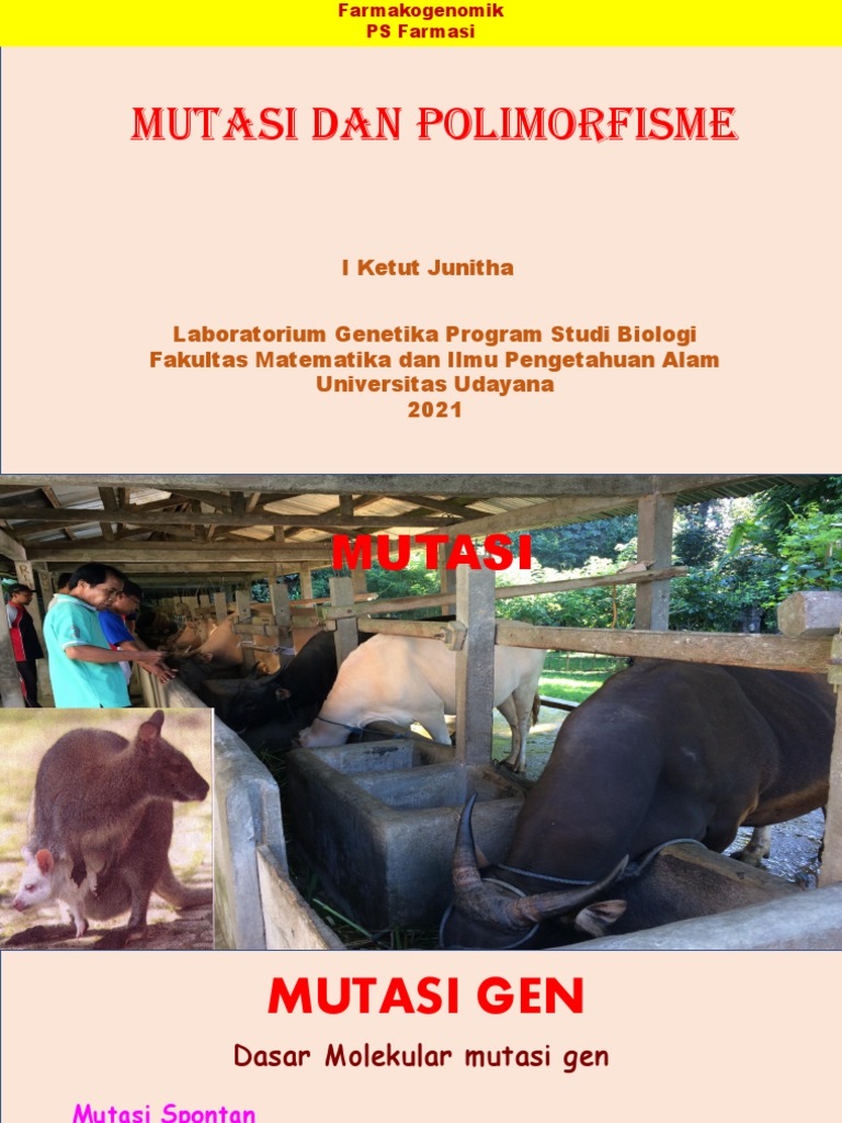 Mutasi Dan Polimorfisme | PDF
