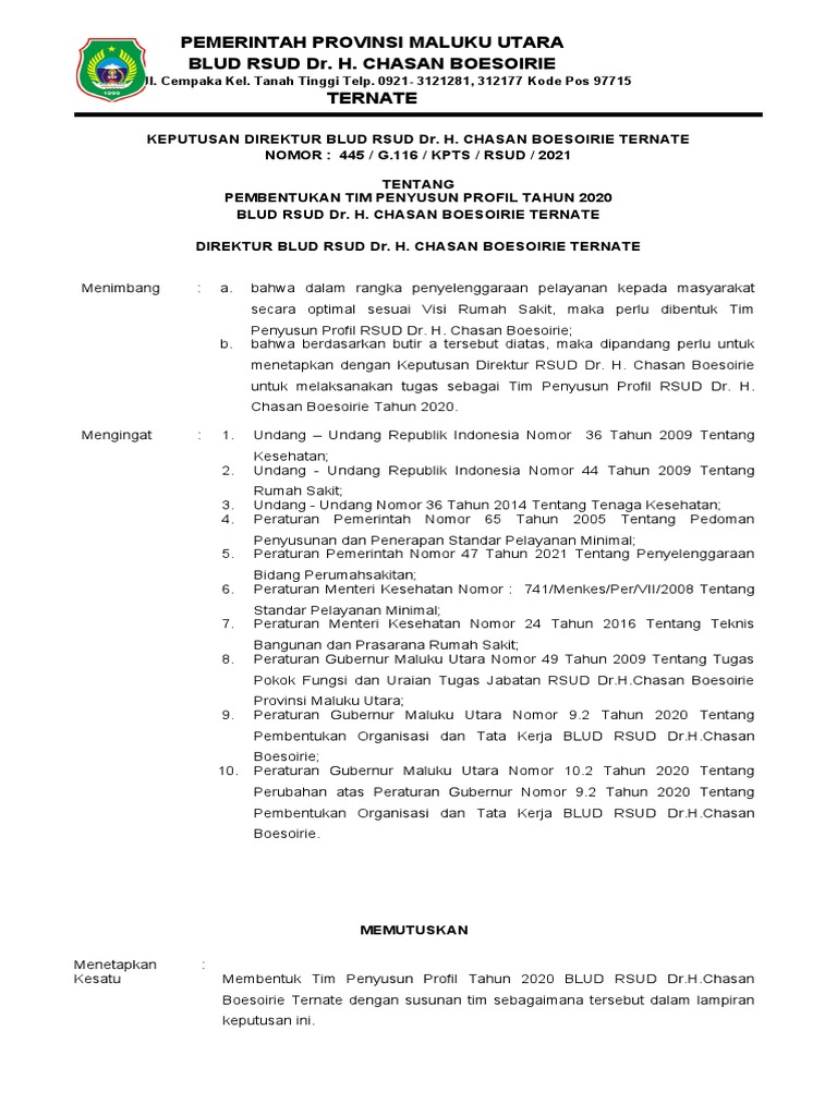 Pembentukan Tim Profil RSUD 2020 | PDF