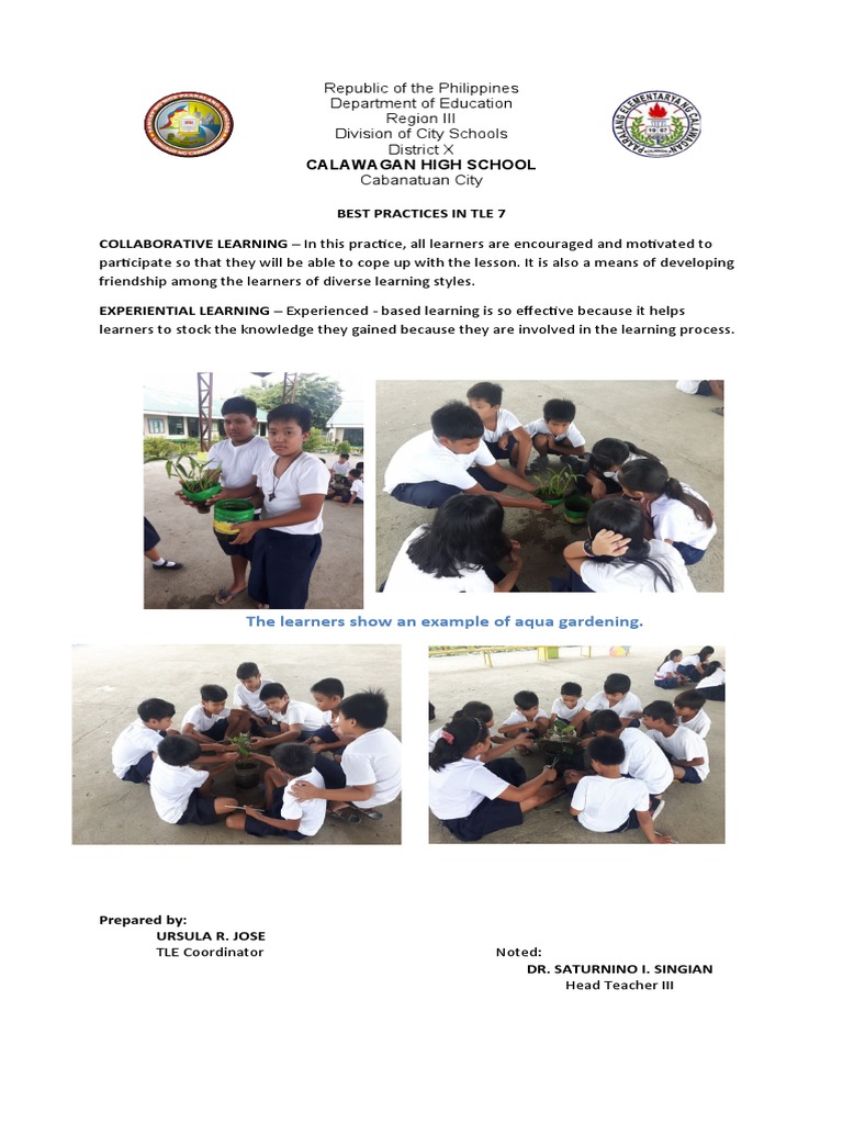 Tle Sample Best Practices | PDF