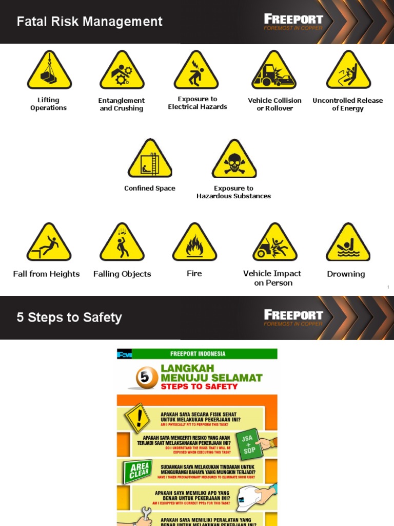 Fatal Risk Management | PDF