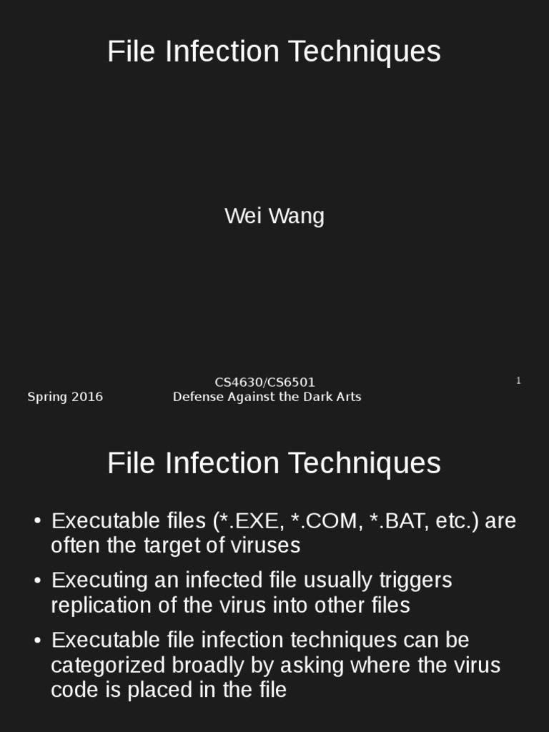 File Infection Techniques: Wei Wang | PDF | Computer Virus | Antivirus ...