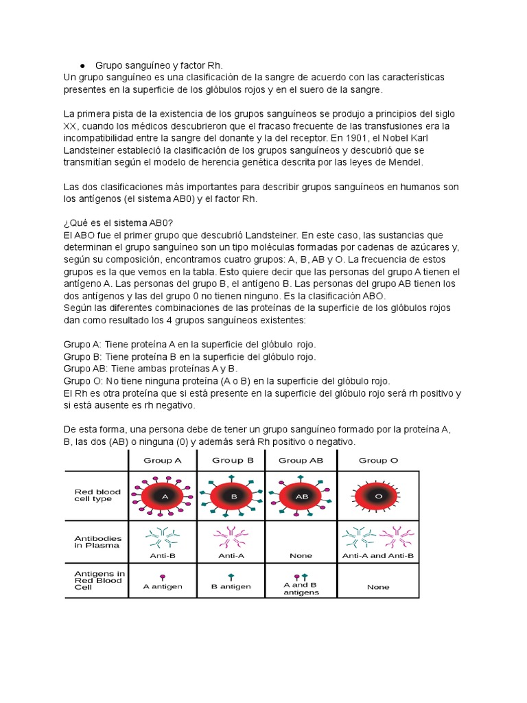 Grupos Sanguíneos y Factor Rh: Guía Completa | PDF | Tipo de sangre ...