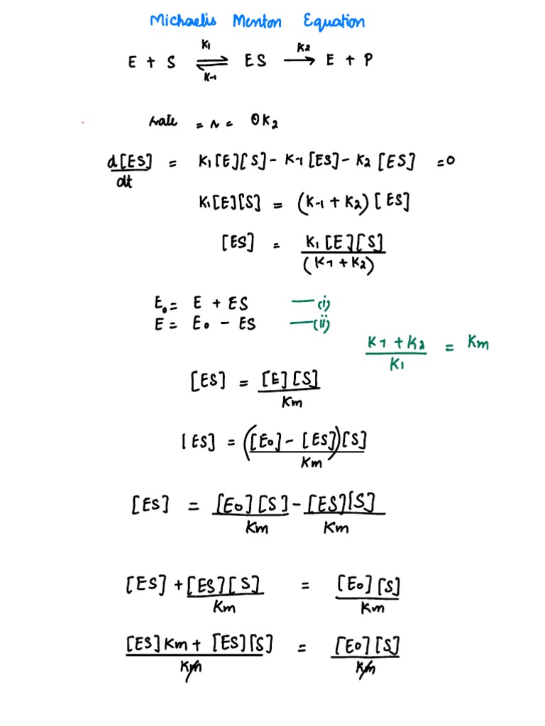 Michaelis Menton Equation | PDF
