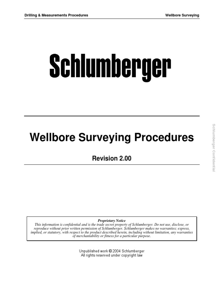 Wellbore Surveying Procedures | PDF | Magnetometer | Surveying