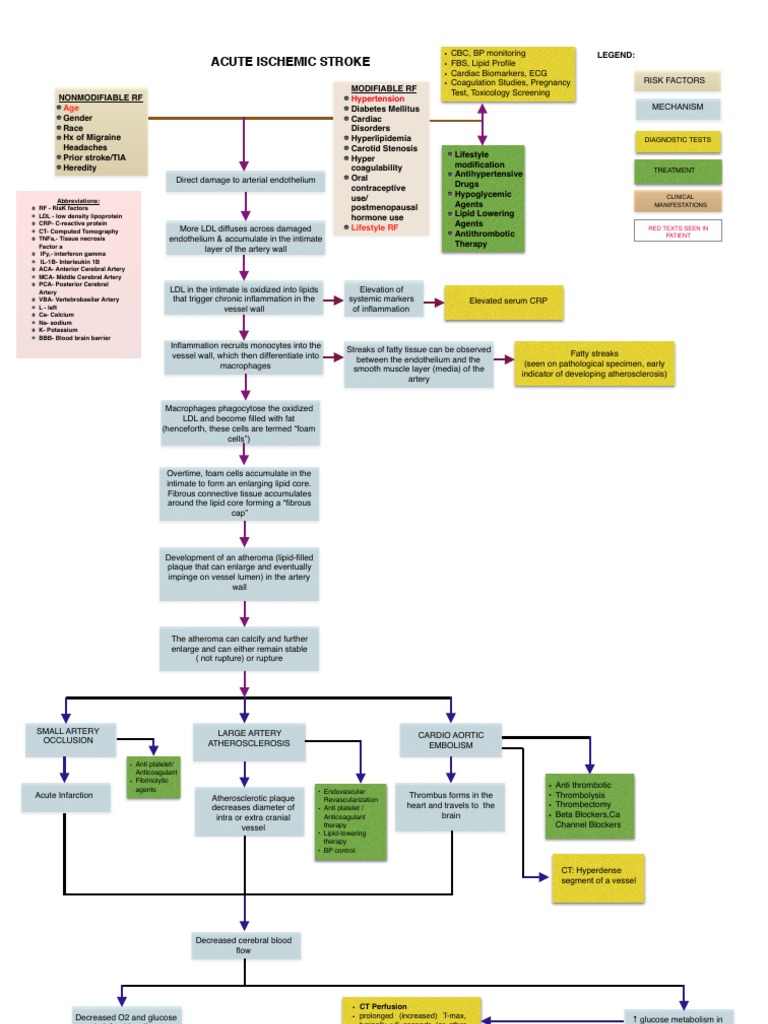 Acute Ischemic Stroke Concept Map | Download Free PDF | Atheroma ...
