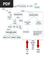La Habituación de La Conducta Refleja y El Aprendizaje | PDF | Las ...